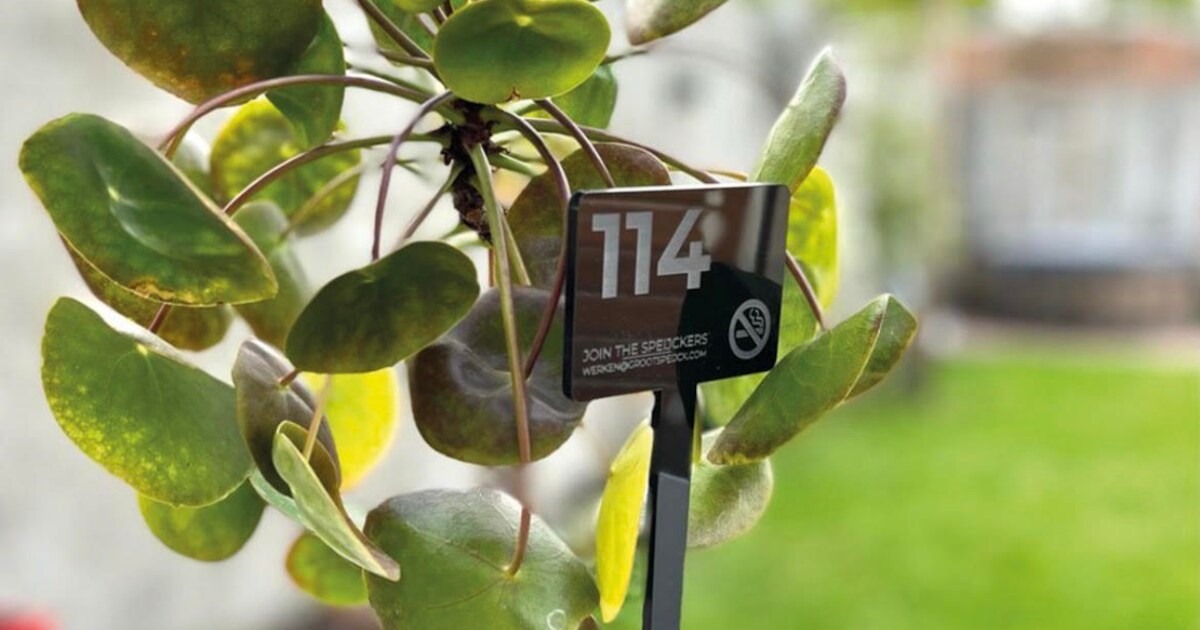 Dit terras in Oisterwijk is al járen rookvrij: ‘Slechts een enkeling ...