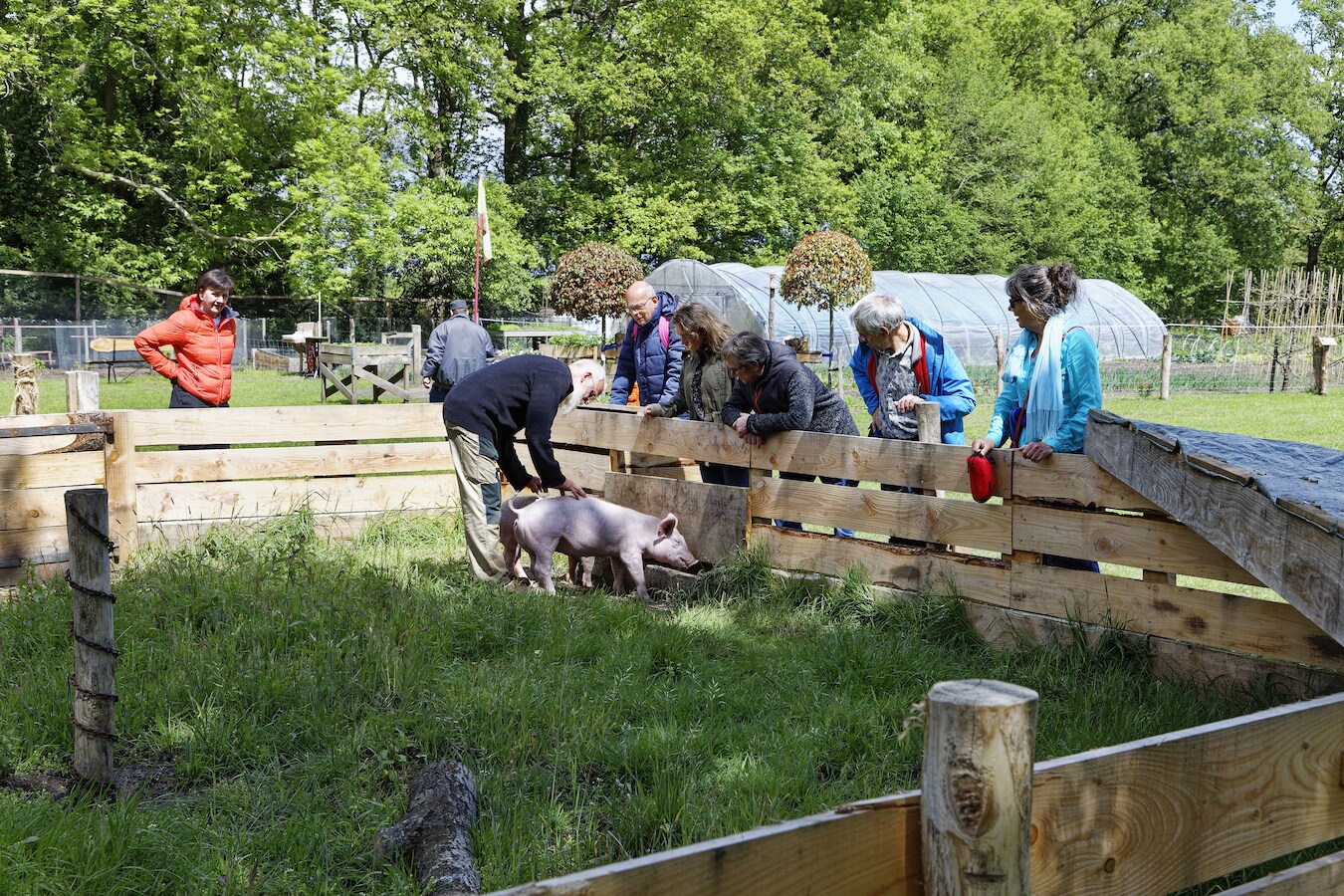 Leerlingen Elde College ontleden straks bruine bonen uit eigen ...
