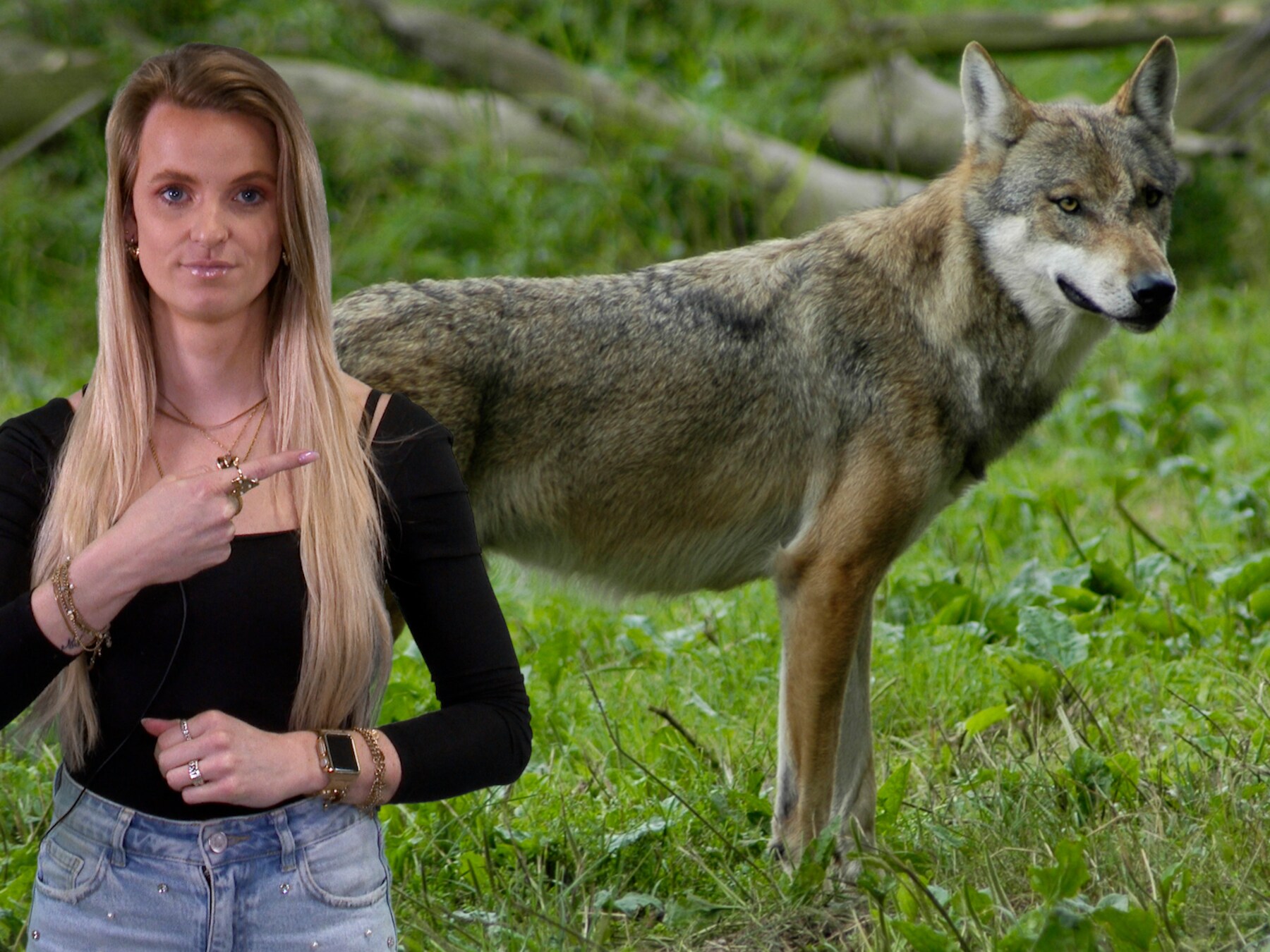 Theater De Lievekamp gaat in seizoen 2025-2026 voor veel en veelzijdig ...