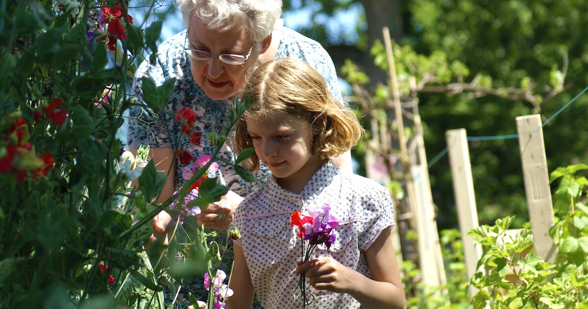 Proeftuin bij De Wellen in Oss valt in de prijzen | Oss e.o. | bd.nl