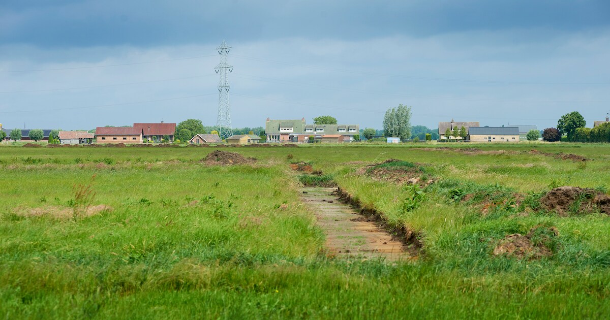 Oss maakt vaart met de bouw van duizend huizen in de polder | Oss | BD.nl