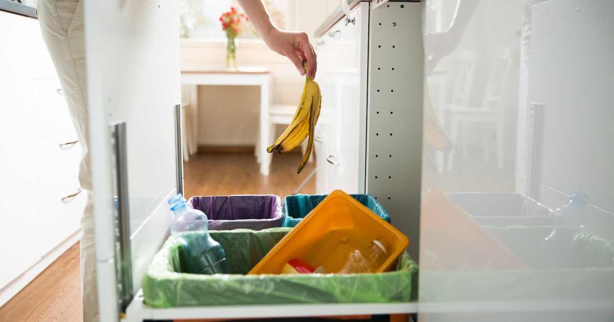 Bergenaar maakt een bende van zijn afval, hoe kan dat beter? | Regio ...