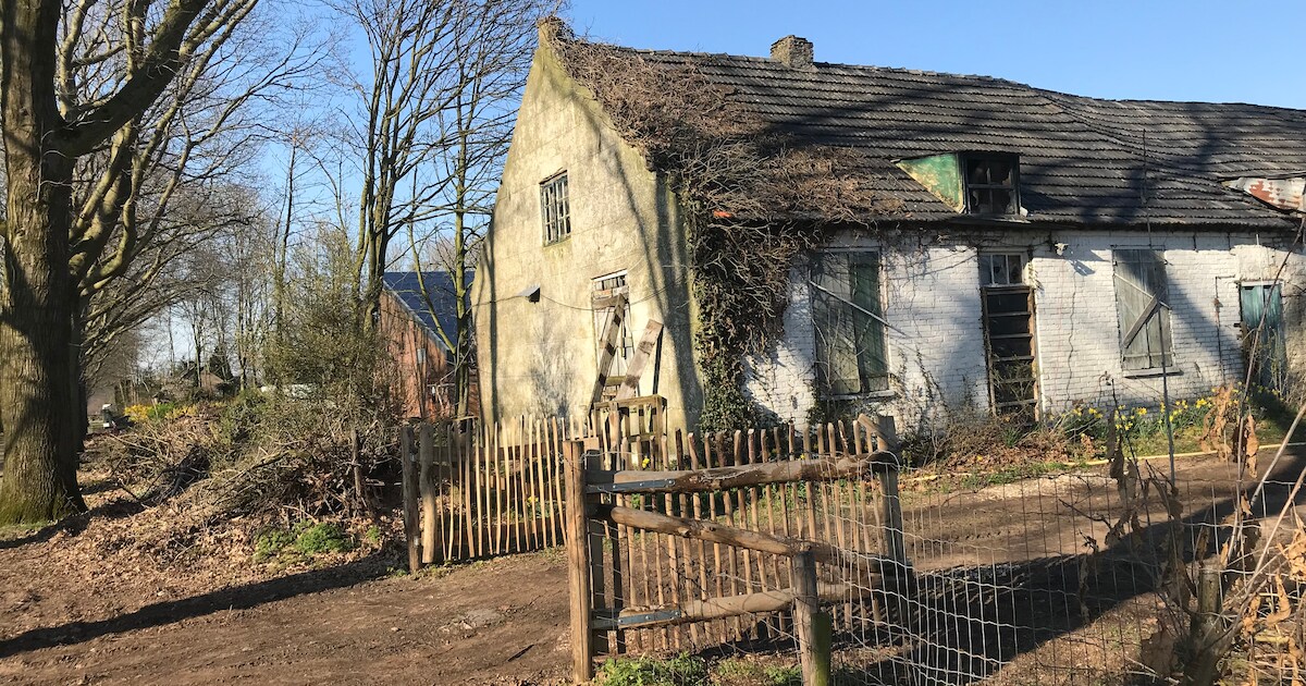 Voorlopig geen uitspraak in rechtszaak Nel Jacobs tegen de gemeente ...