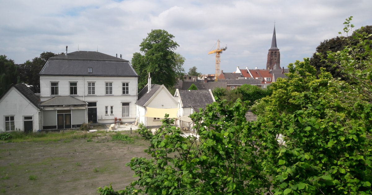 Dorpsraad wil dat Moergestel net als Oisterwijk een park krijgt en wel ...