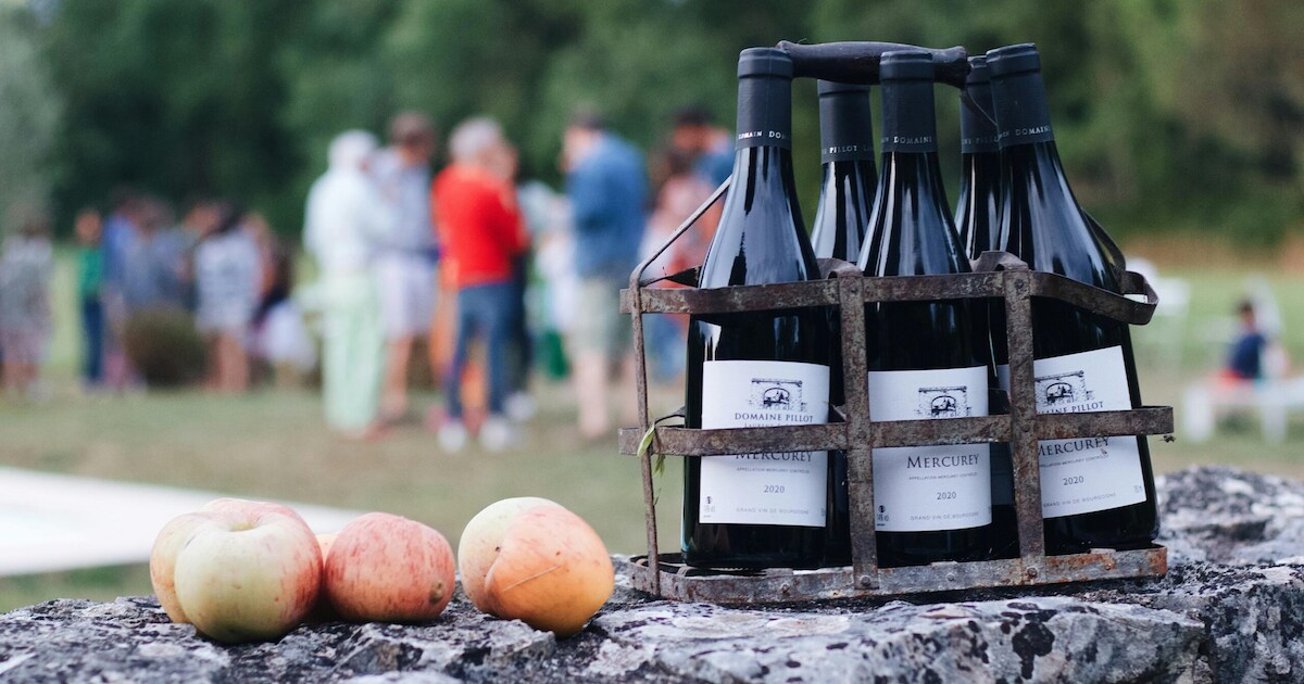 Wijn drinken met je voeten in het zand: nieuw wijnfestival op ...