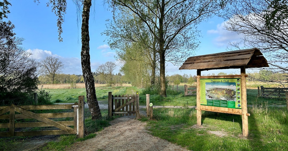 Open dag ‘Dorp aan de Beek’ in Vessem | Regio | BD.nl