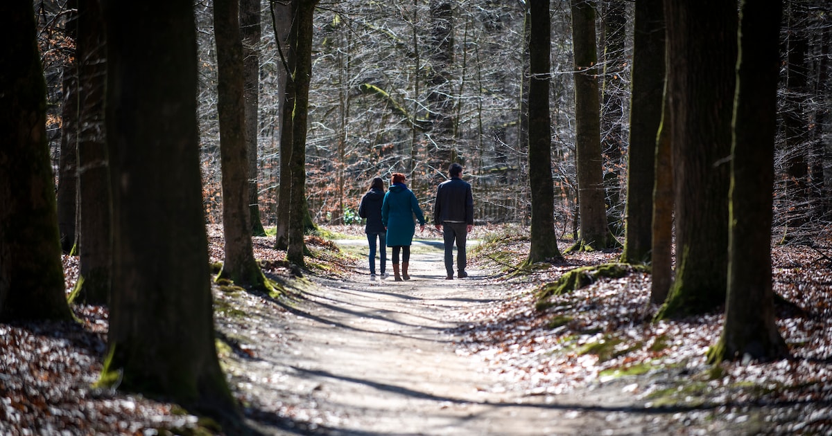 Roof uit de natuur loopt hier spuigaten uit: ‘Er zijn voorbeelden van ...