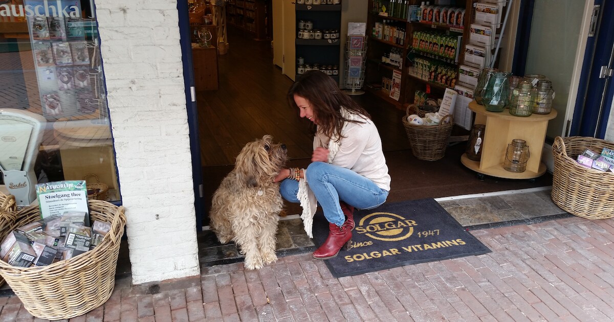 Smous, vijftien jaar stadshond, moet op matje blijven | Stadsgezicht ...