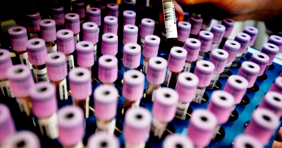 Vesper (6) kan niet praten, zitten of lopen: zijn moeder zamelt geld in ...