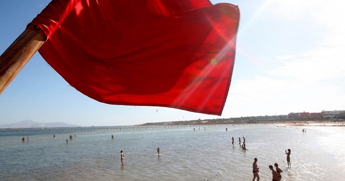 Haai doodt toerist in Rode Zee in Egypte, ander zwaargewond ...