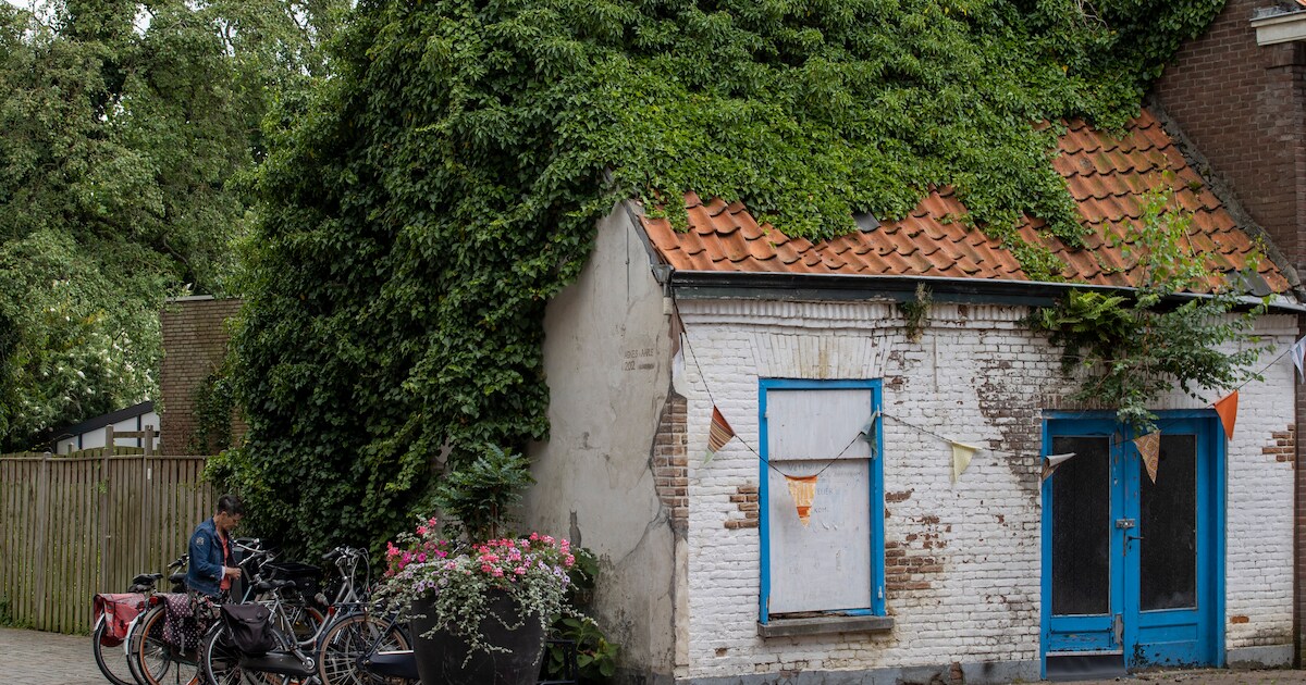 Verpauperd pand is doorn in Rooise ogen, toch laat sloop al drie jaar ...