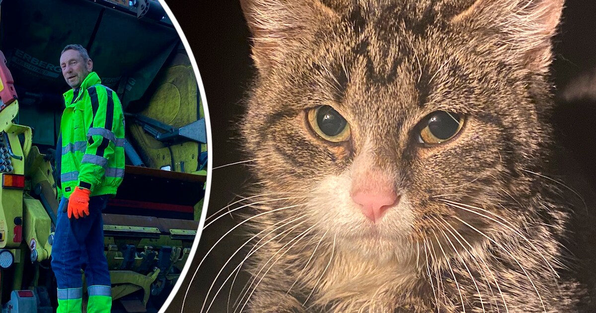 Vijf maanden nadat René een kitten uit zijn vuilniswagen redde, komt katertje Boeddha bij hem ...