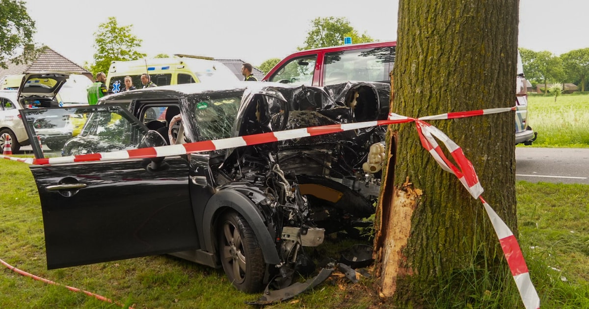 Automobilist (39) overleden bij botsing tegen boom in Erp: voertuig zit ...