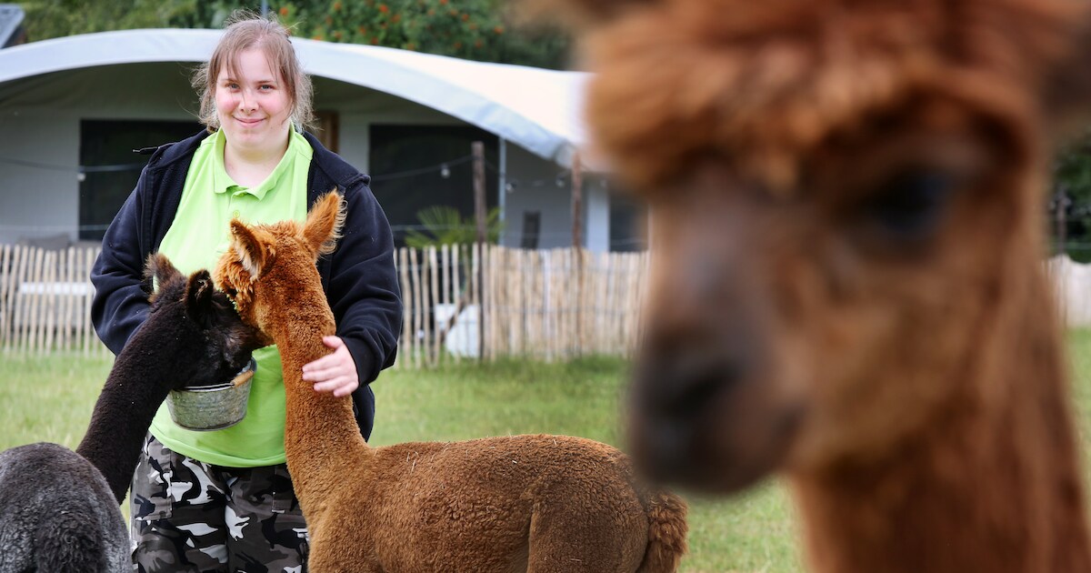 Hoe hoogzwangere Madonna de aandacht trekt op de camping in Molenschot ...