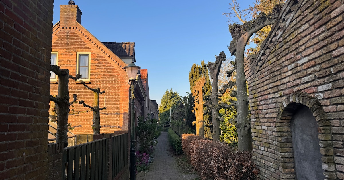 WSV de Osse Maaskant houdt Lithse Wandeltocht met routes van 5 tot 40 ...