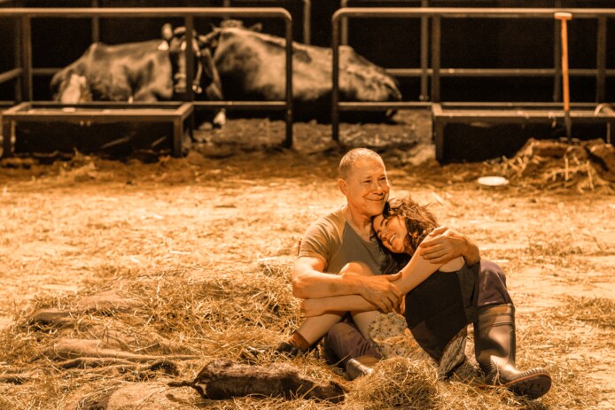 Koeien Dora en Trix gaan ‘s avonds naar het theater: ze hebben een rol ...