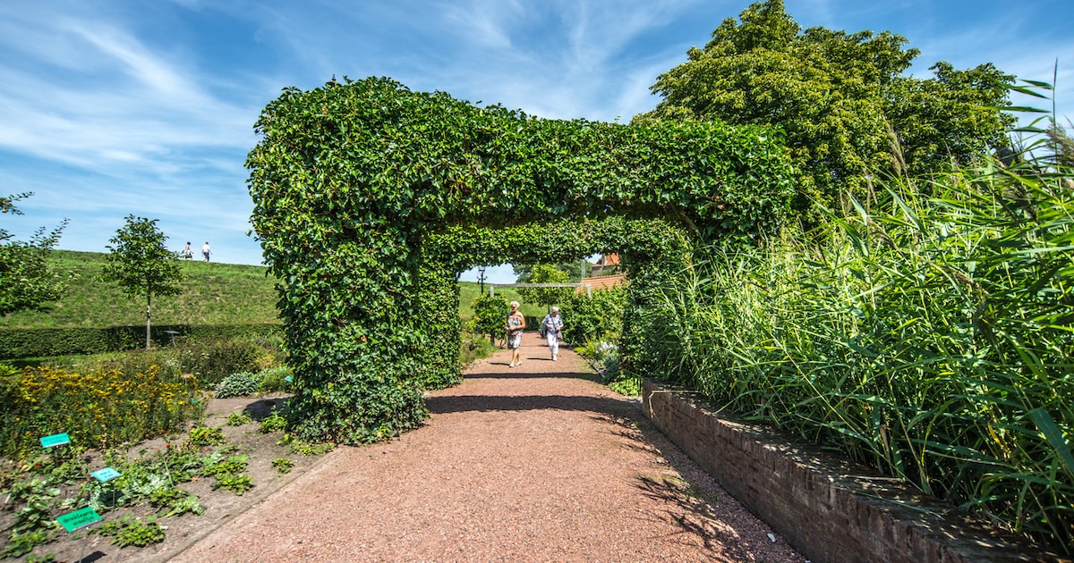 Klepperman-natuurdag in Heemtuin van Heusden | Heusden | BD.nl