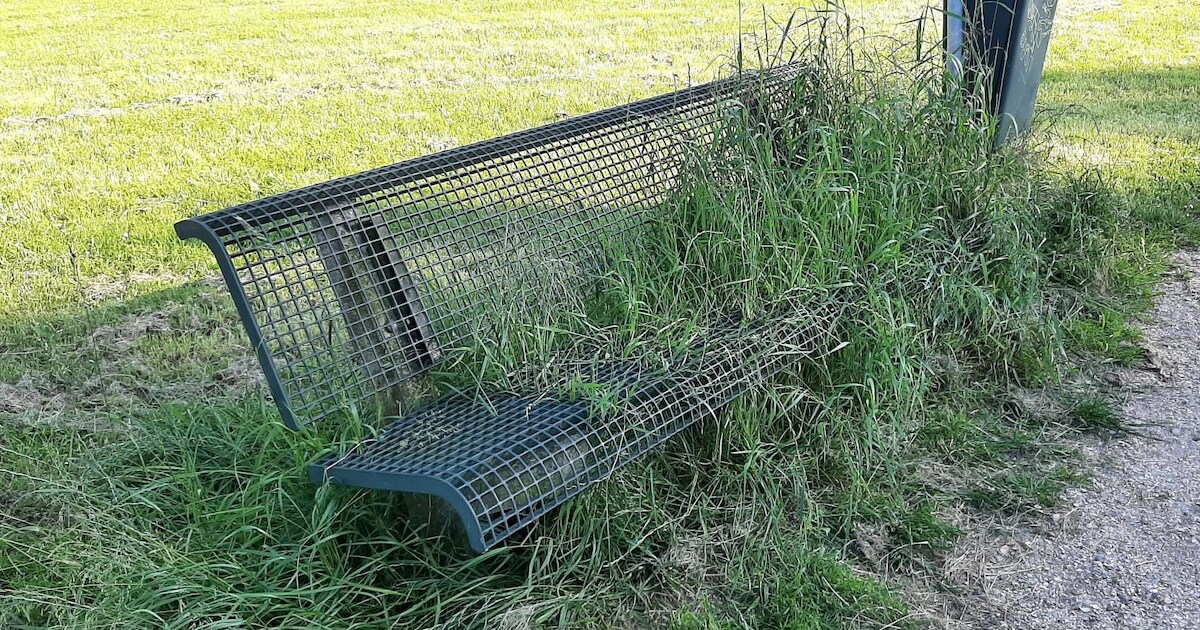 Inwoners storen zich aan slecht onderhoud openbaar groen: ‘Eieren op ...