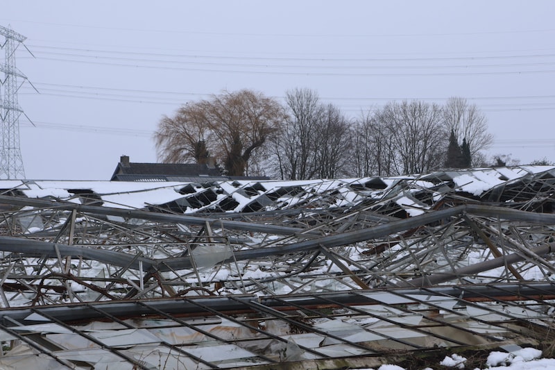 LIVE Sneeuw in Brabant | Ravage na instorten kassen in Waspik dag later ...