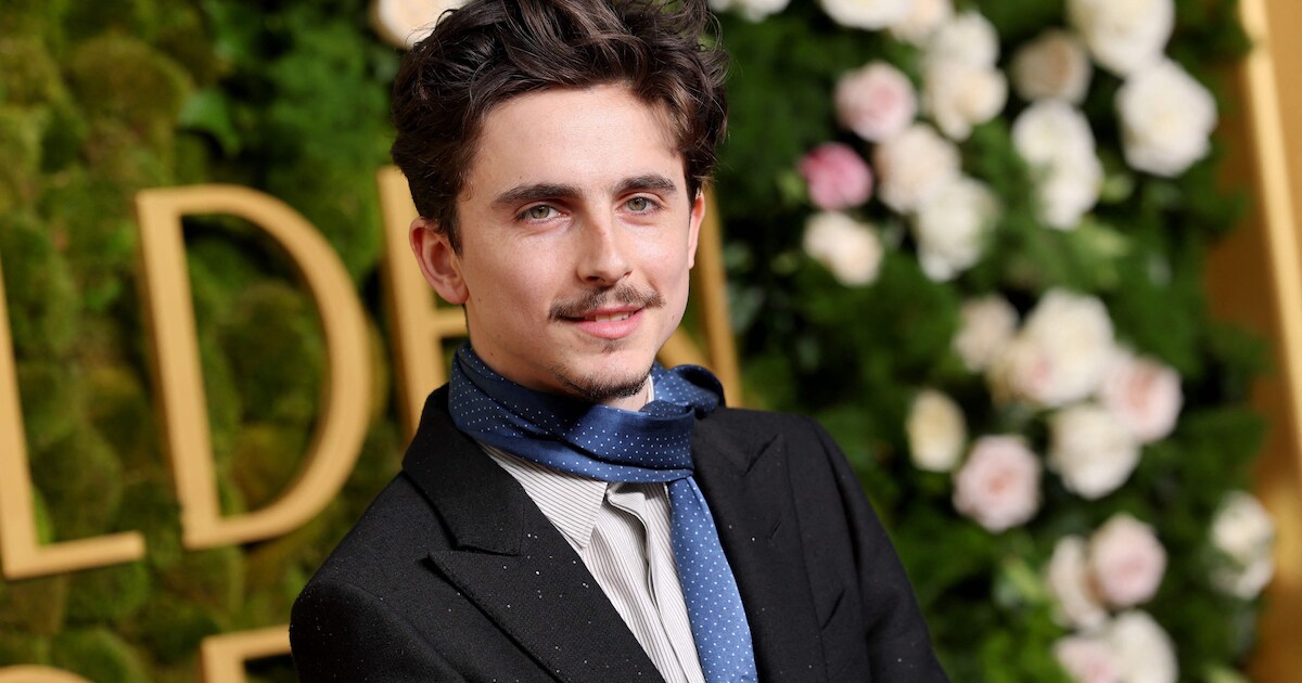 Wat weet jij van Timothée Chalamet? | Quiz | bd.nl