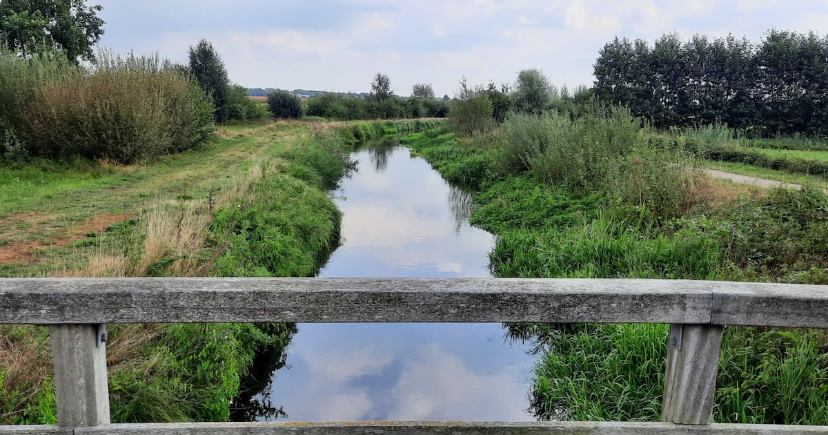 Udense boeren vrezen drogere grond door aanpak van beek de Leijgraaf ...