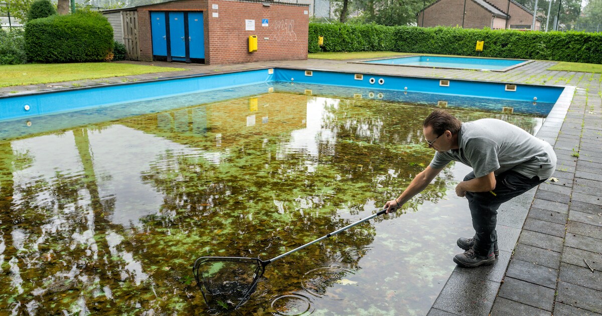 Dit jaar geen kinderen maar kikkers in het zwembad van Nuland | Regio ...