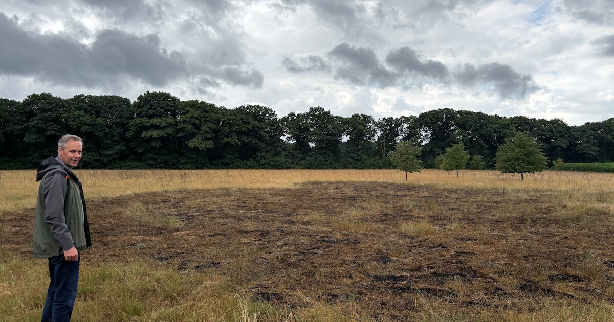 Brand op de Maashorst op tijd geblust: ‘Gelukkig, het had veel erger ...