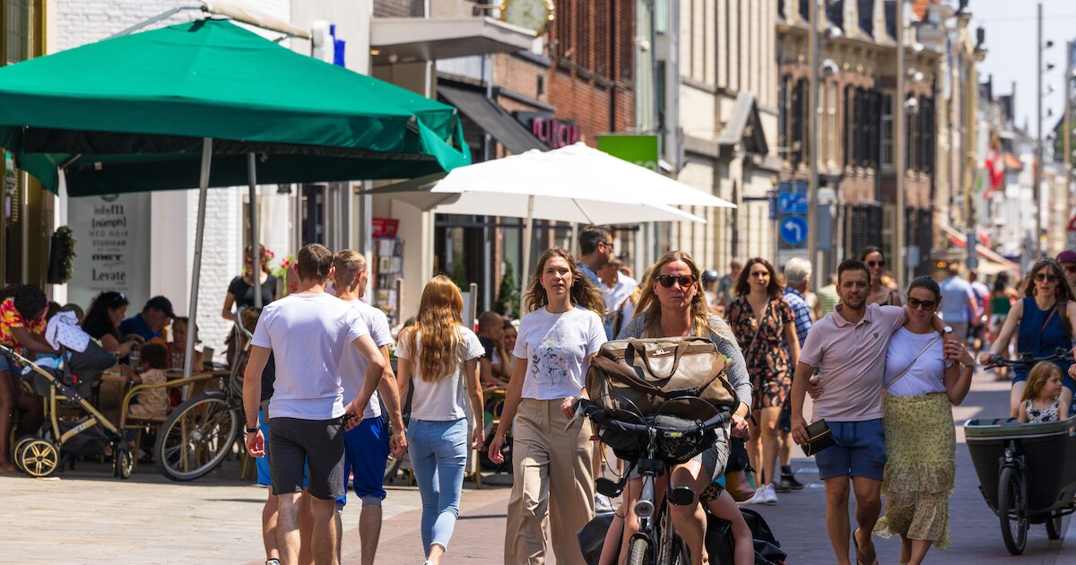 Meedenken over Den Bosch? Veel animo voor uitbreiding van inwonerpanel ...
