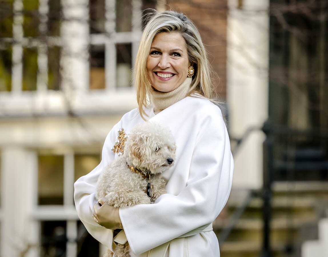 Koningin Máxima over toypoedel Mambo tegen trouwe fan: ‘Hij heeft bijna ...
